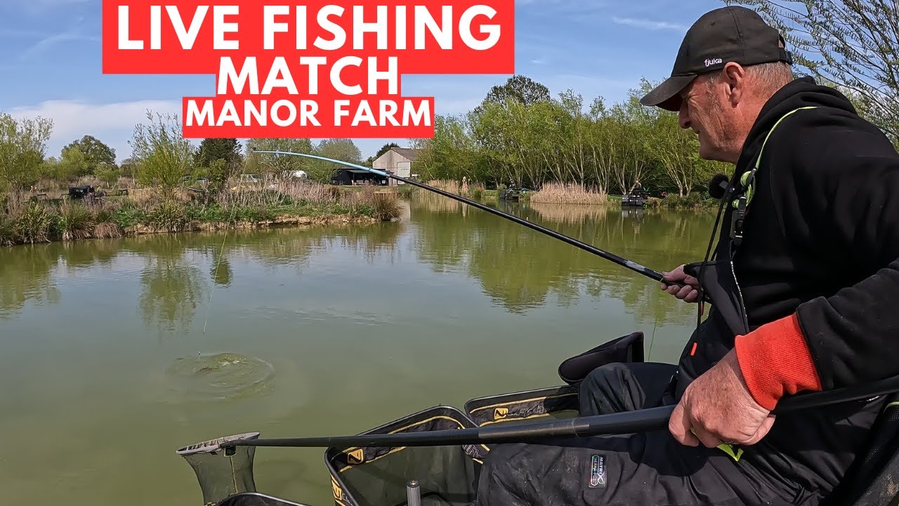Live Fishing Match Manor Farm Swilland IP6 9LB, #matchfishinguk - YouTube