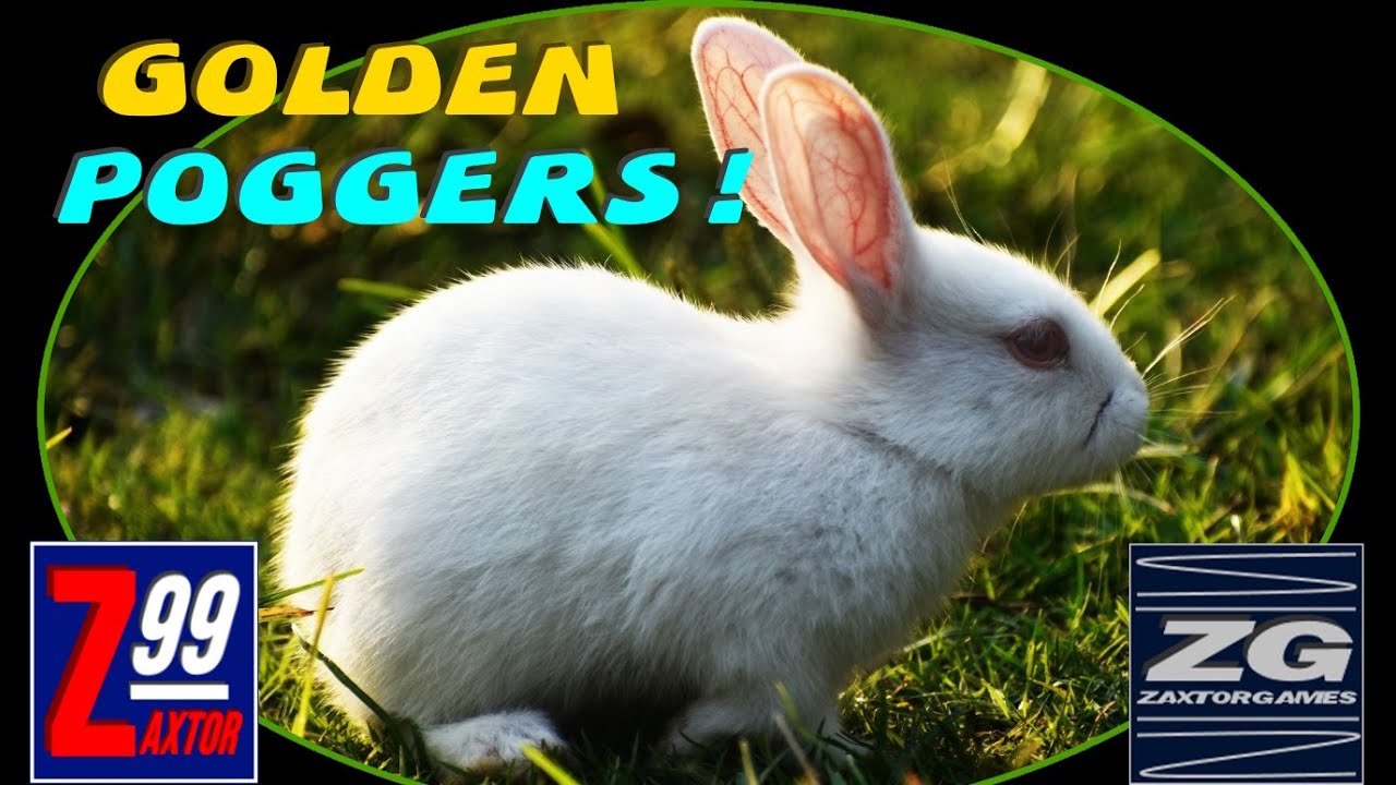 Golden Poggers - Poggers Has His Own Ship.. And His Own Space Bunny Hop ...