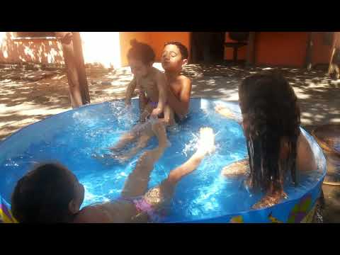 A  sapequinha