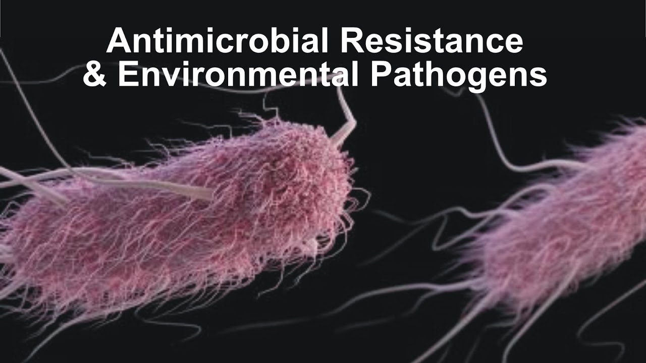 Antimicrobial Resistance and Environmental Pathogens - YouTube