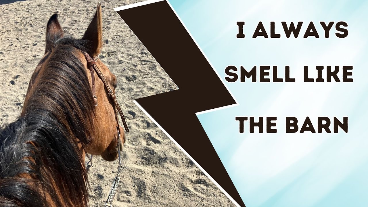 The smell of the barn taught me about God's presence - YouTube