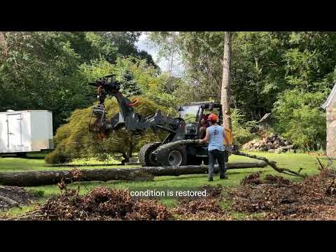 Expert Tree Removal in Long Island Safety & Sustainability - YouTube