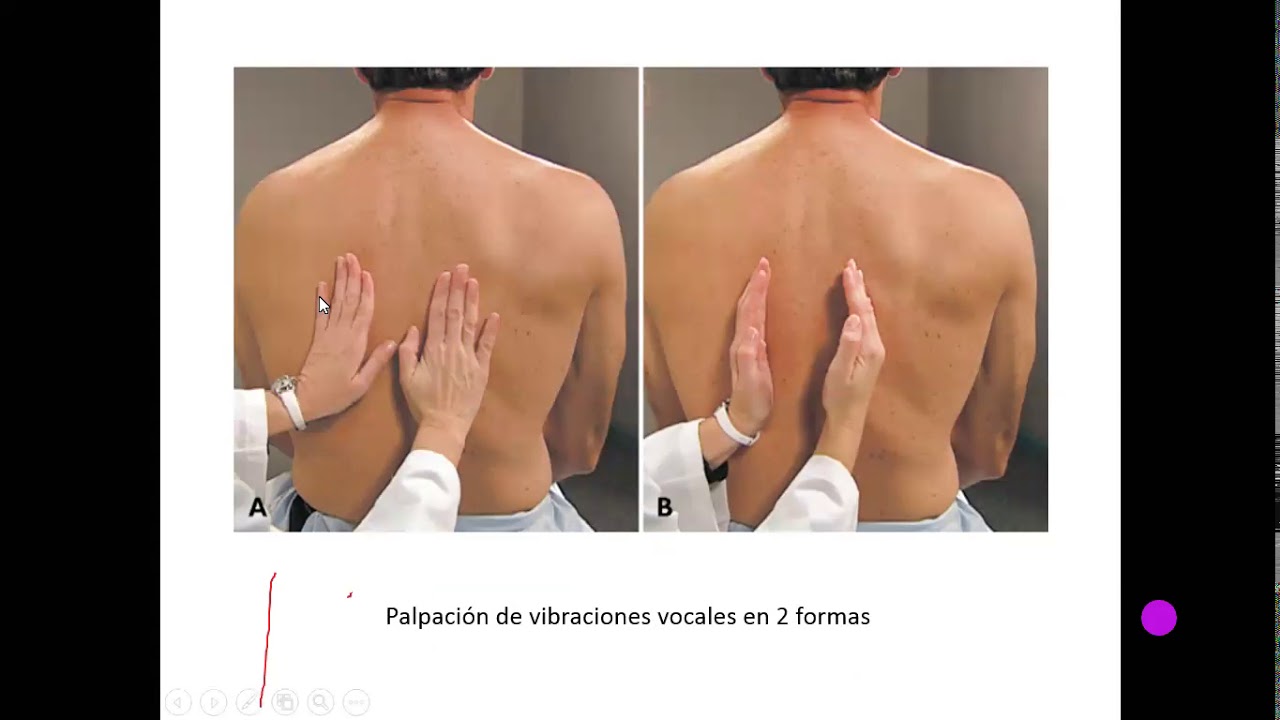 "Semiología Respiratoria con Orientación Clínica" - YouTube