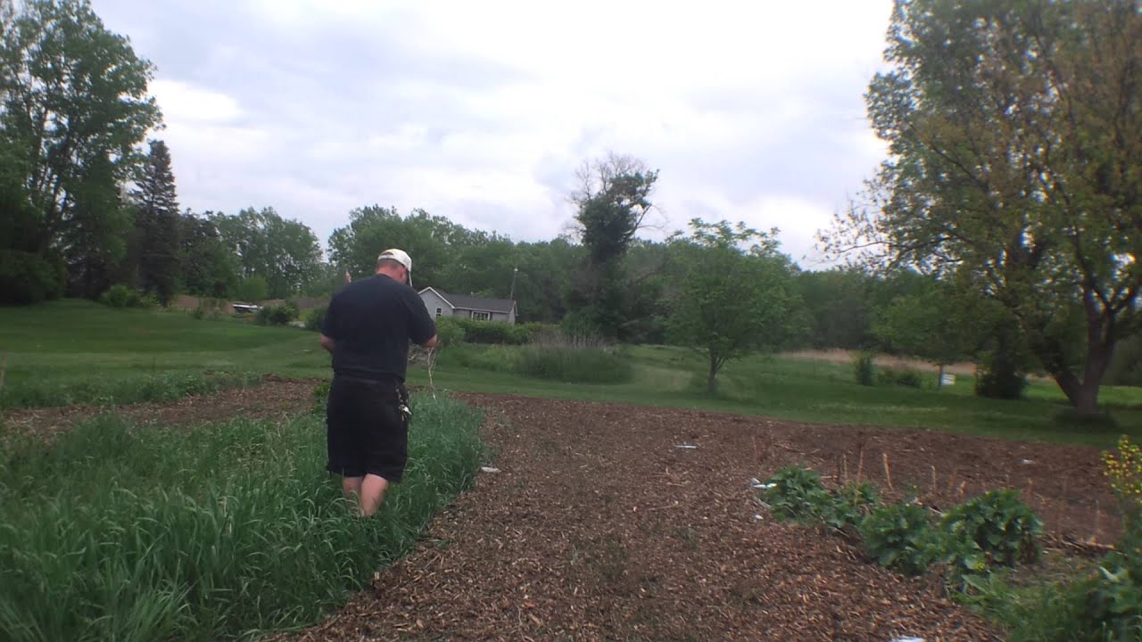 Easy ~ Broadcast planting my garden this year - YouTube