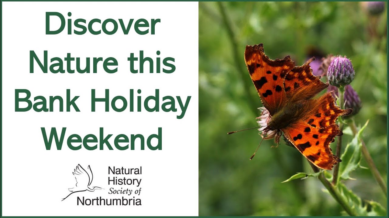 How to Enjoy Nature this Bank Holiday Weekend - YouTube