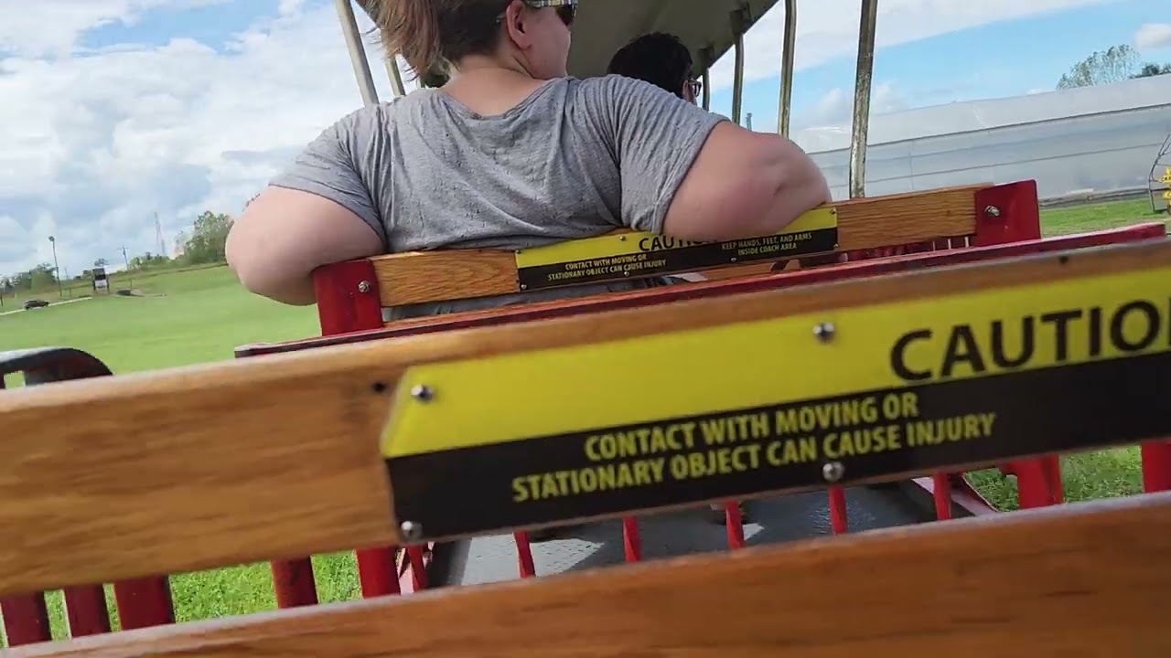 Stricker's Grove train ride POV - YouTube