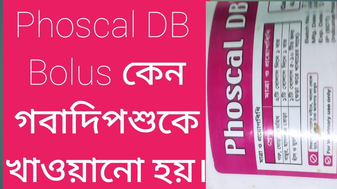 Phoscal DB কেন খাওয়ানো হয়। - YouTube