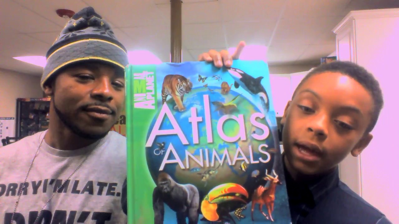 Animal Atlas - YouTube