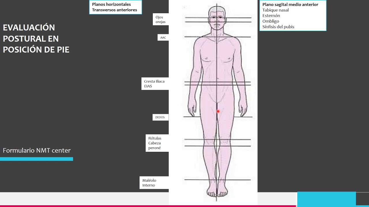 EVALUACION POSTURAL - YouTube