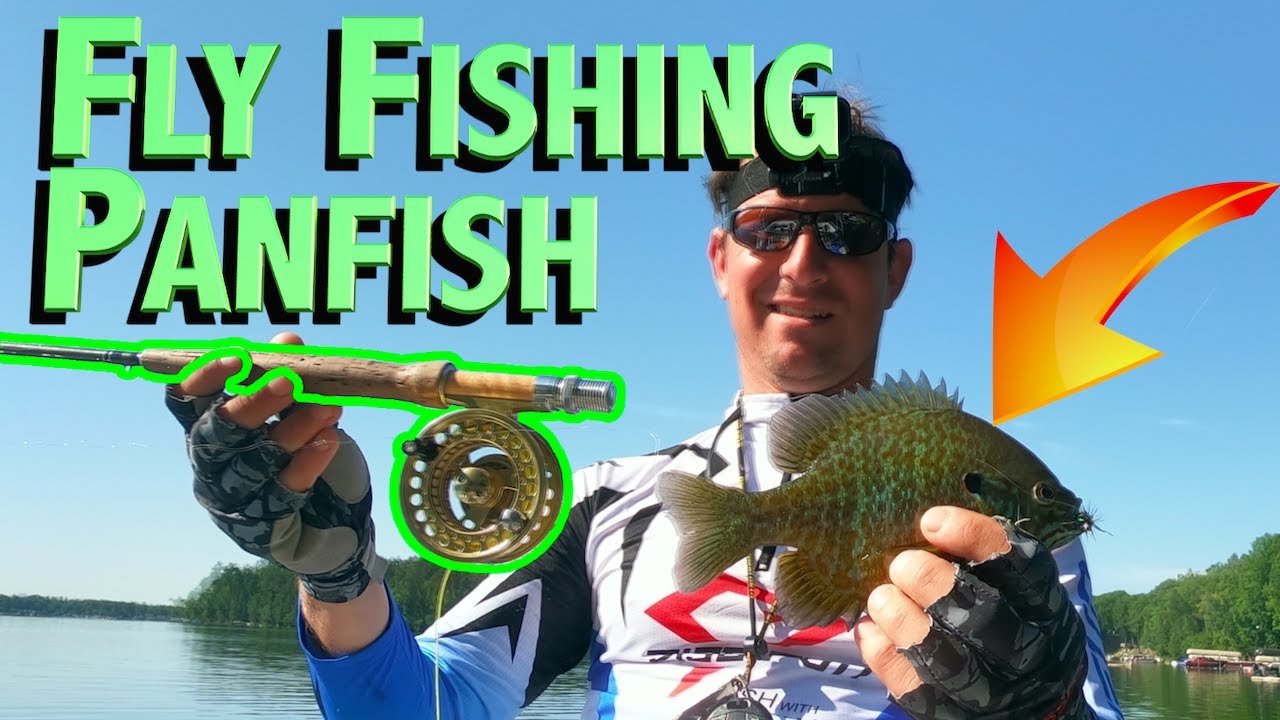 Fly Fishing Panfish | How to catch big bluegills on the Fly in ...