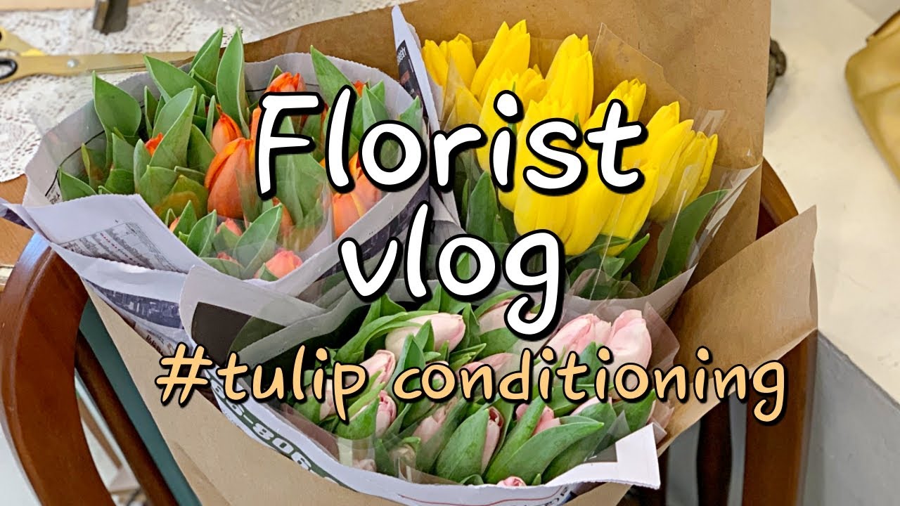 플로리스트 Vlog 꽃시장에서 데려온 튤립 컨디셔닝 꽃집 일상 꽃다발 만들기 꽃다발 포장 전 필수 핸드타이드 꽃집 창업 힐링 브이로그 플로리스트 브이로그
