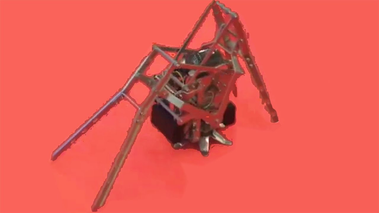 Crawling Slinky Inch Worm Robot * IMG * - YouTube