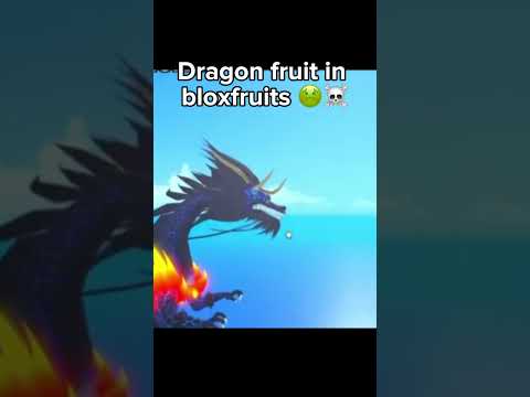 Bloxfruits Dragon Rework 🤢 VS King Legacy Dragon Rework 😍 #roblox #bloxfruits #shorts