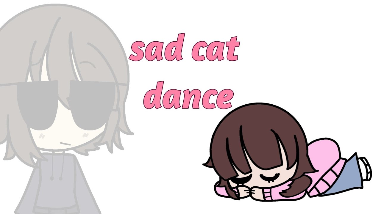 sad cat dance | meme - YouTube