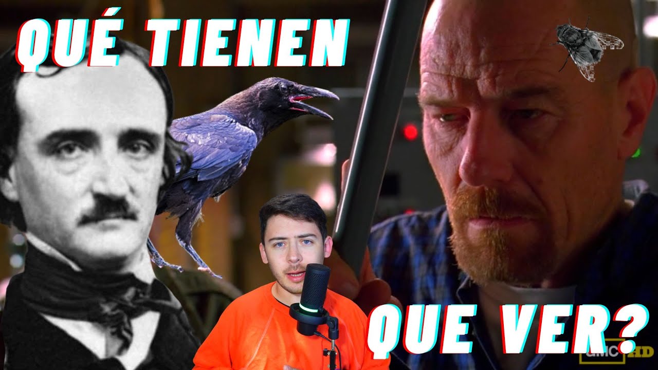 El Significado de LA MOSCA en Breaking Bad - Análisis - YouTube