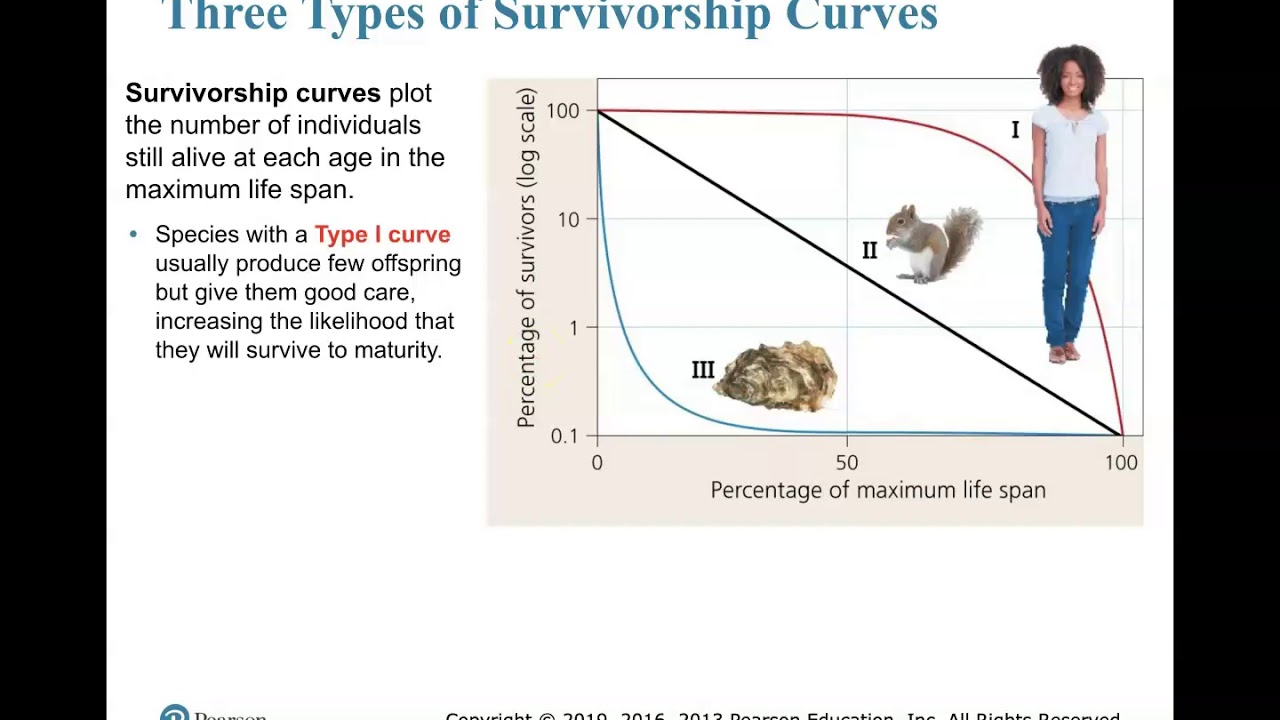 Life Tables and Survivorship - YouTube