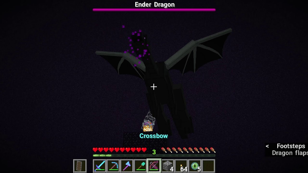 i defeat the ender dragon - YouTube