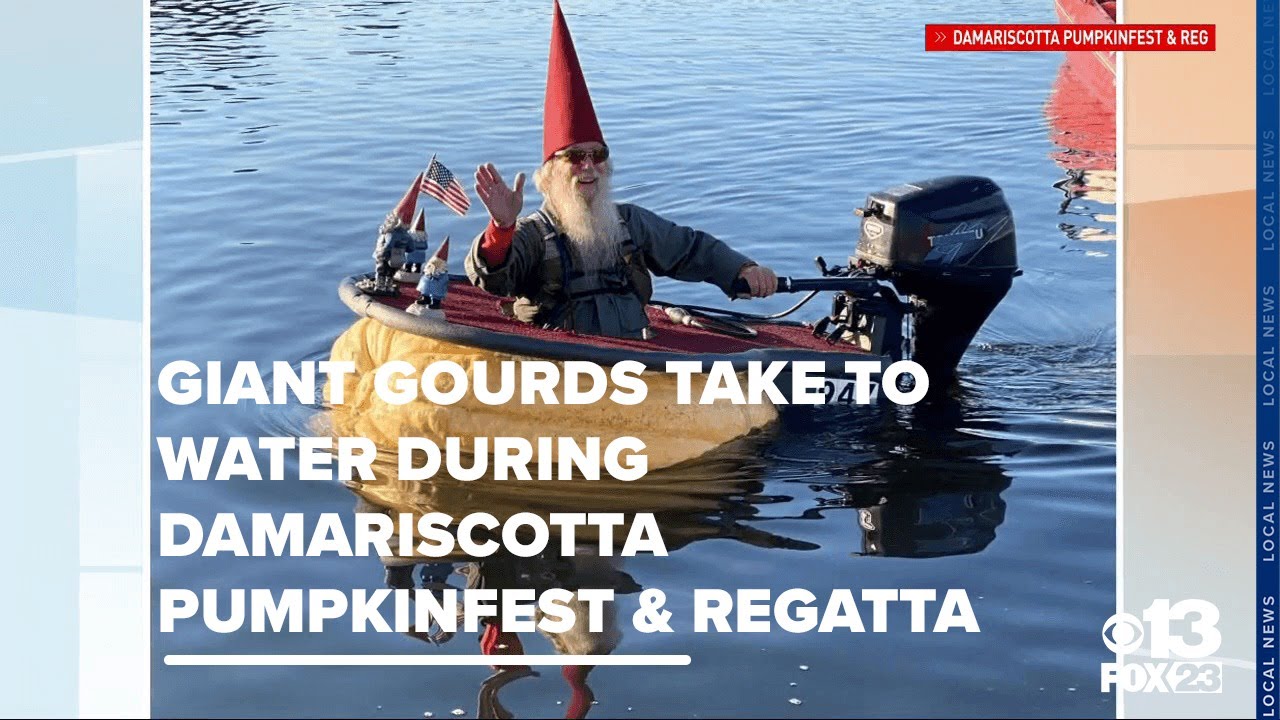 Paddle your pumpkin: Giant gourds take to water during Damariscotta ...