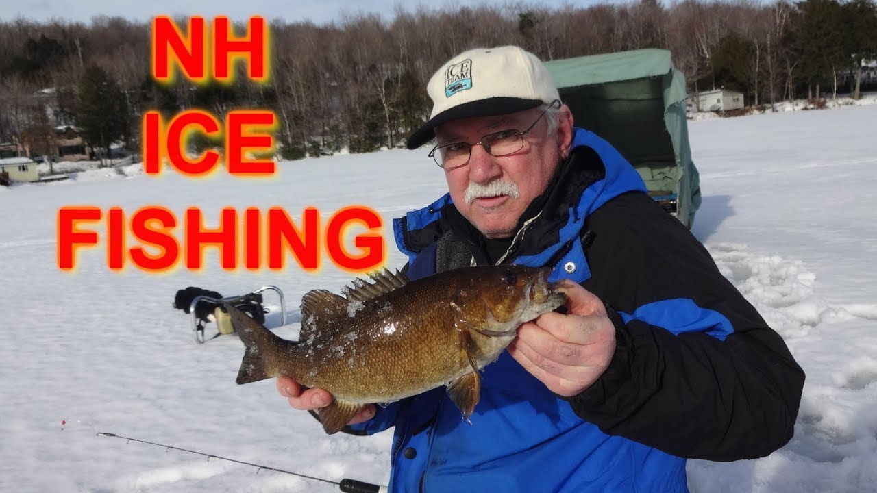 ICE FISHING NEW HAMPSHIRE BASS PERCH PICKEREL MARCH 2015 - YouTube