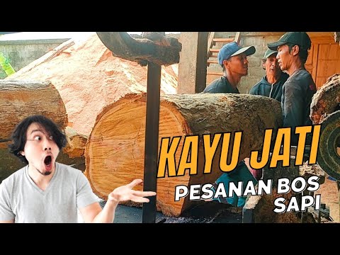 Untung Berlipat-lipat..!! Mujurnya nasib si boss dapat orderan papan ...