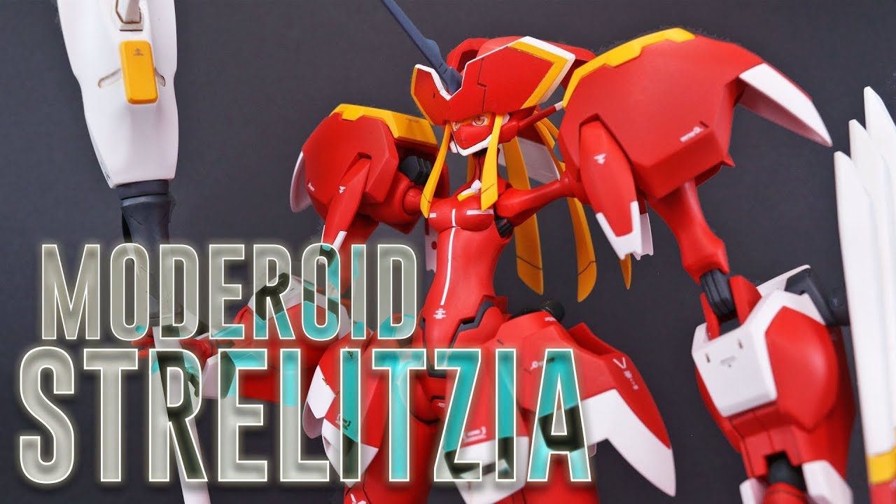 Moderoid Strelitzia (Final Review) - YouTube