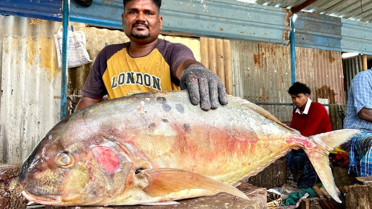 KASIMEDU SMALL SELVAM YELLOW TREVALLY FISH CUTTING 💥 IN KASIMEDU FISH ...