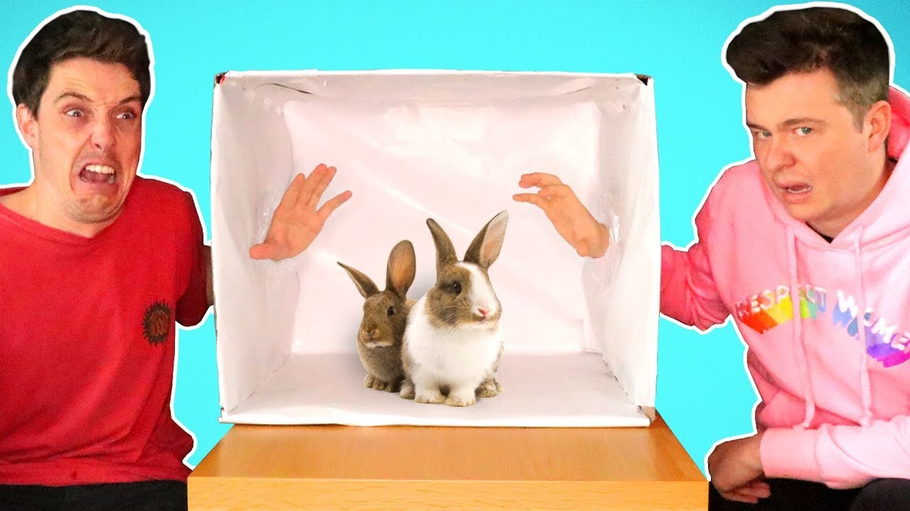 WHATS IN THE BOX!? Ft. Lazarbeam, Muselk, Loserfruit, Crayator ...