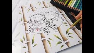 How to color a bamboo background with colored pencils | Stencil craspire