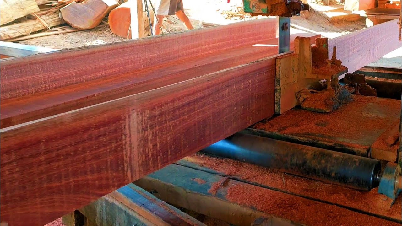 proses penggergajian kayu meranti batu merah super buat balokan dan ...