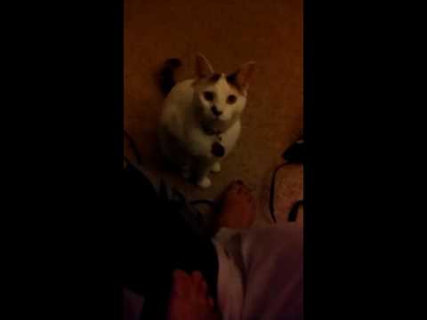 Luna ticked off!