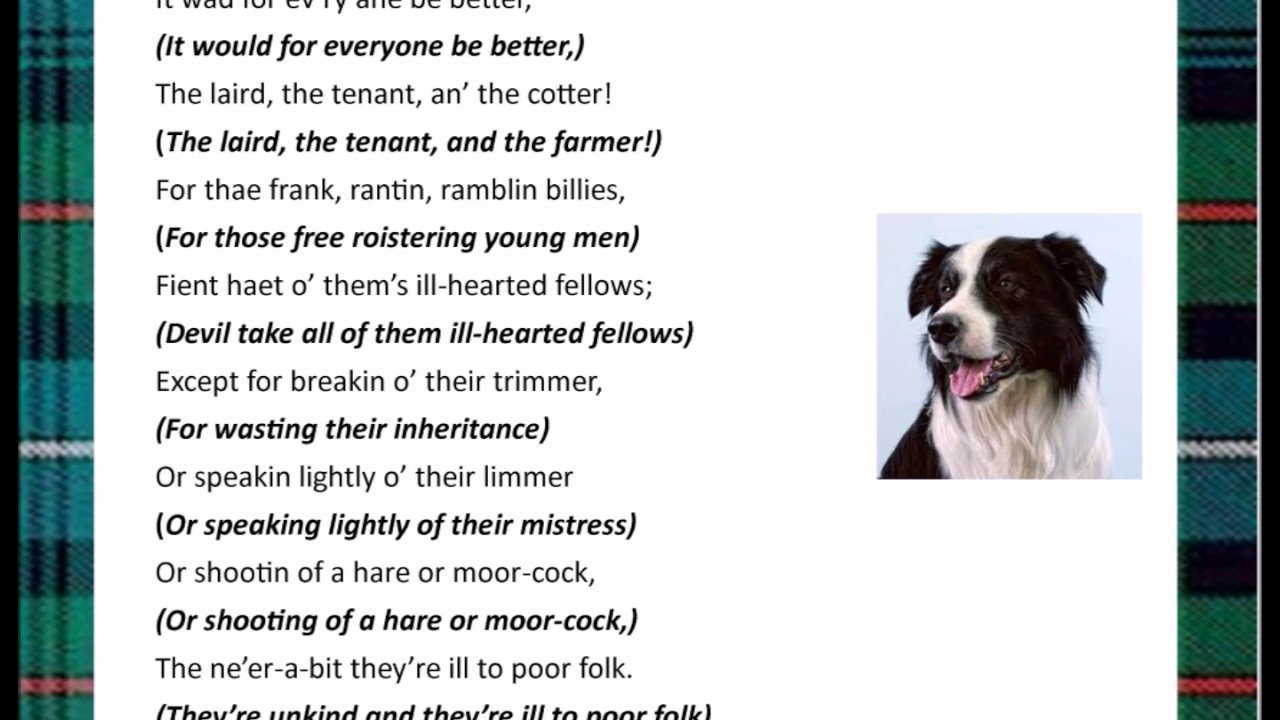 The Twa Dogs interpretation - YouTube