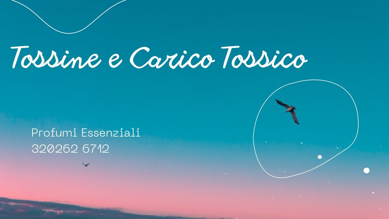 Tossine e carico tossico - YouTube