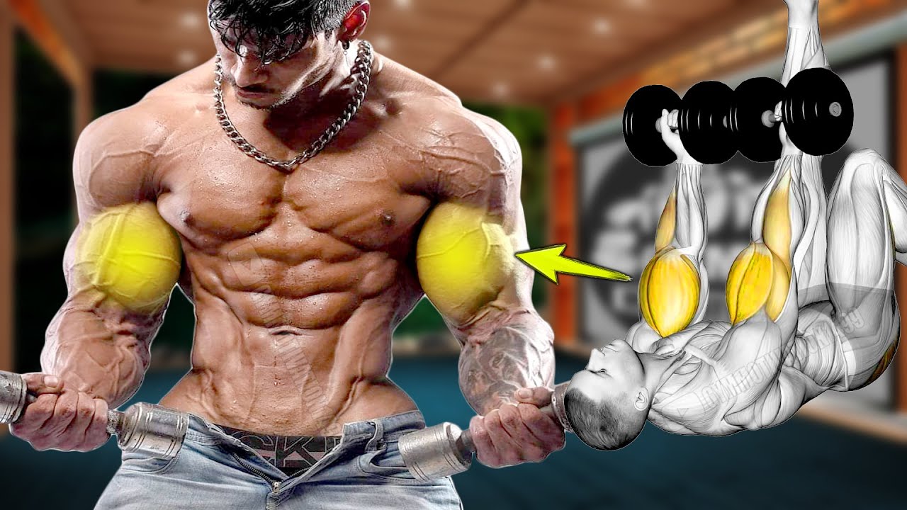 Newbie: 6 Best Simple Biceps Exercises - YouTube
