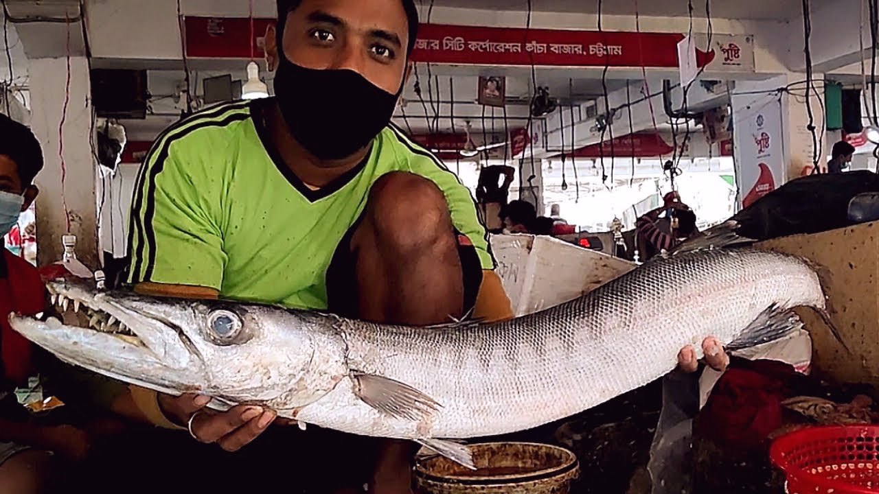 Huge BARRACUDA FISH Cutting Live In Bangladesh Fish Market | Fish ...