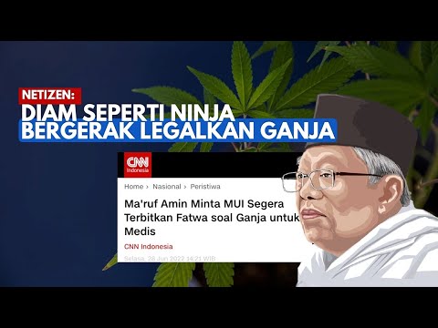 LEGALISASI LINTING DAUN GANJA BUAT APA? - YouTube