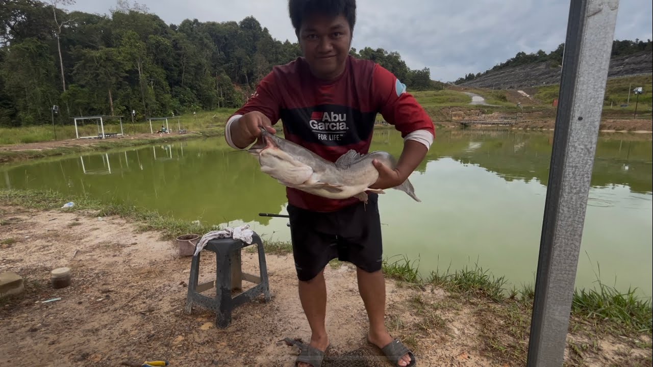 Trip solo gasak ikan keli di Bintulu Fishing Park (BFP) hasil sangat ...