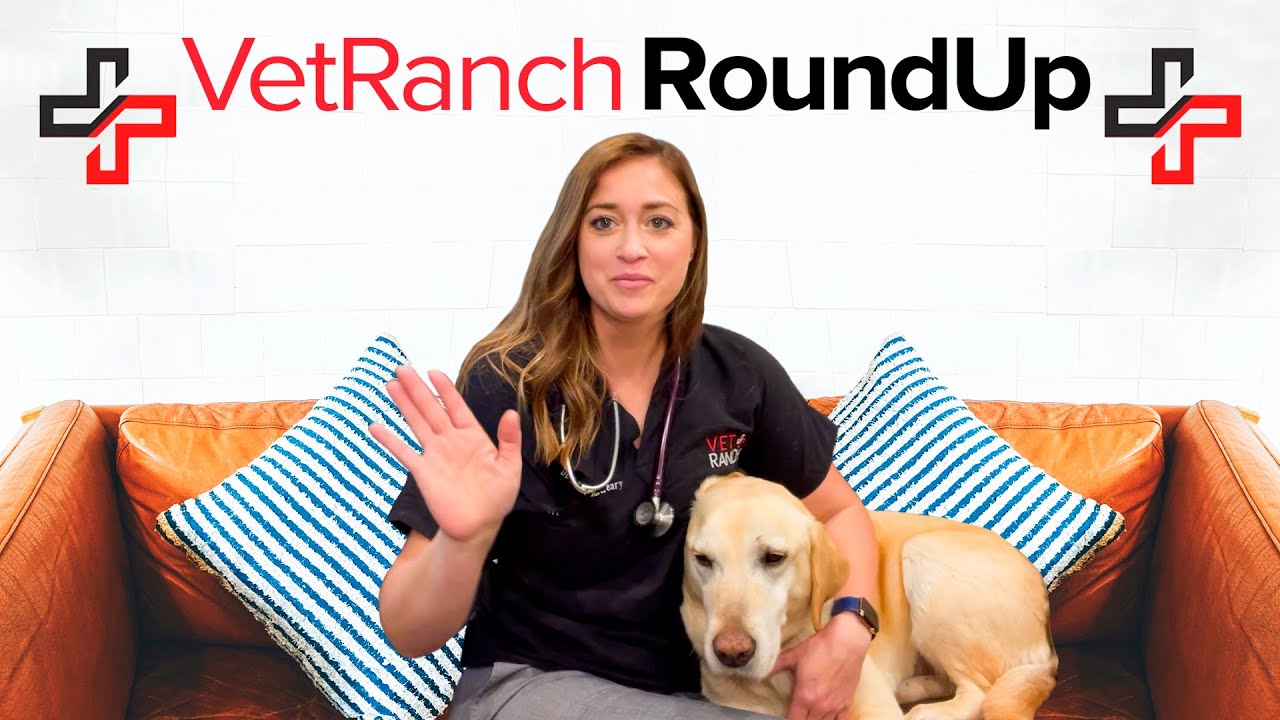 VET RANCH ROUNDUP - Pupdates and a totally UNPLANNED RESCUE saved from ...