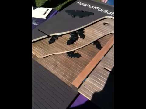 Inside our Educational Bat House - YouTube