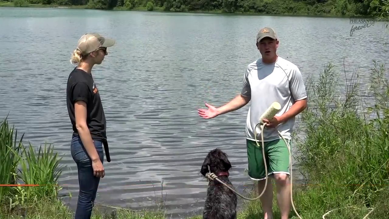 Bird Dog Boot Camp: Intro to Water - YouTube