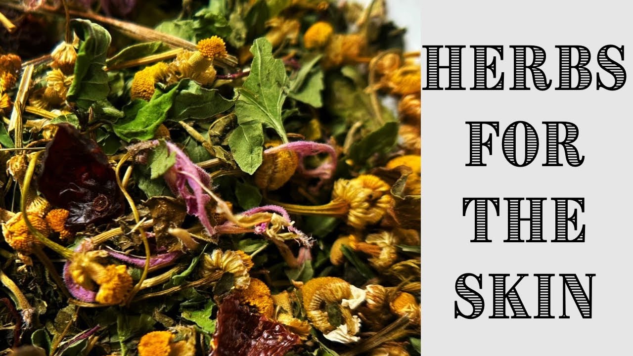 Herbs For The SKIN || Herbal Skin Care - YouTube