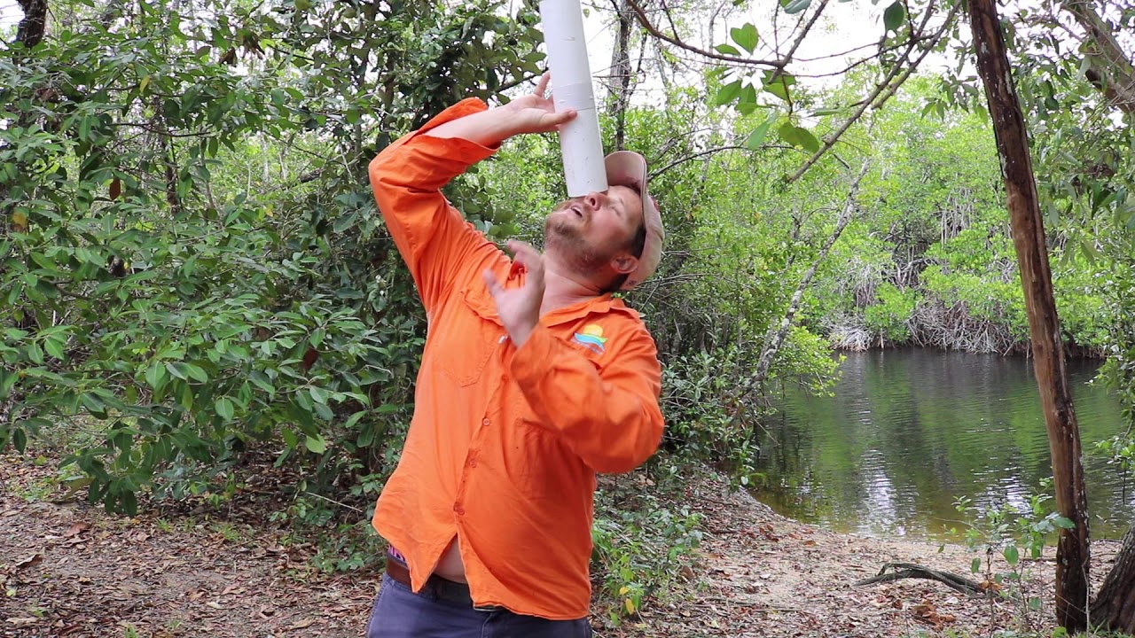 How to use a crosswire tube to measure foliage cover - YouTube