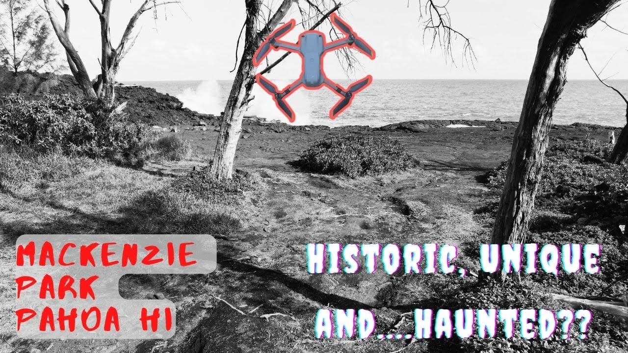 Historic, Unique, and Haunted??: Mackenzie State Park, Pahoa Hawaii ...