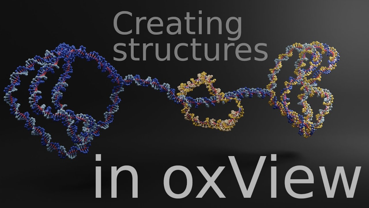 Creating DNA designs in oxView for oxDNA - YouTube