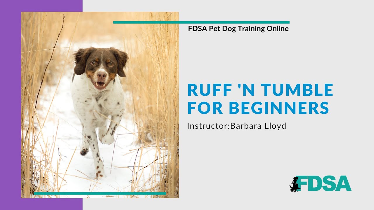PDT: Barbara Lloyd- Ruff 'N Tumble for Beginners - YouTube