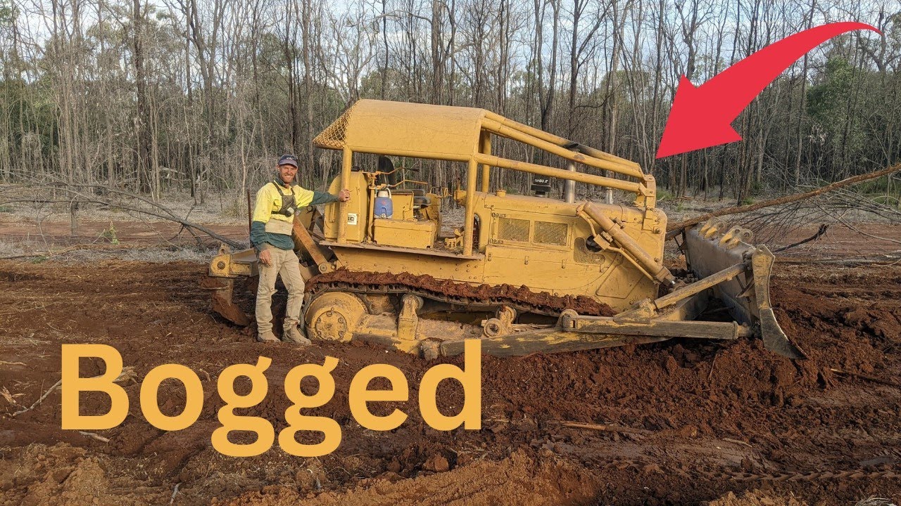 Trapping Wild Dogs Part 2 - YouTube