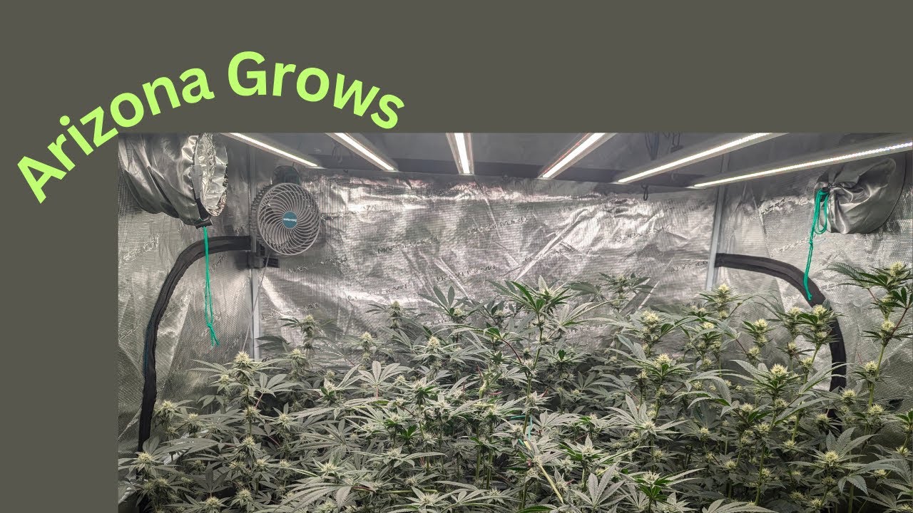 It's Grow Time - YouTube