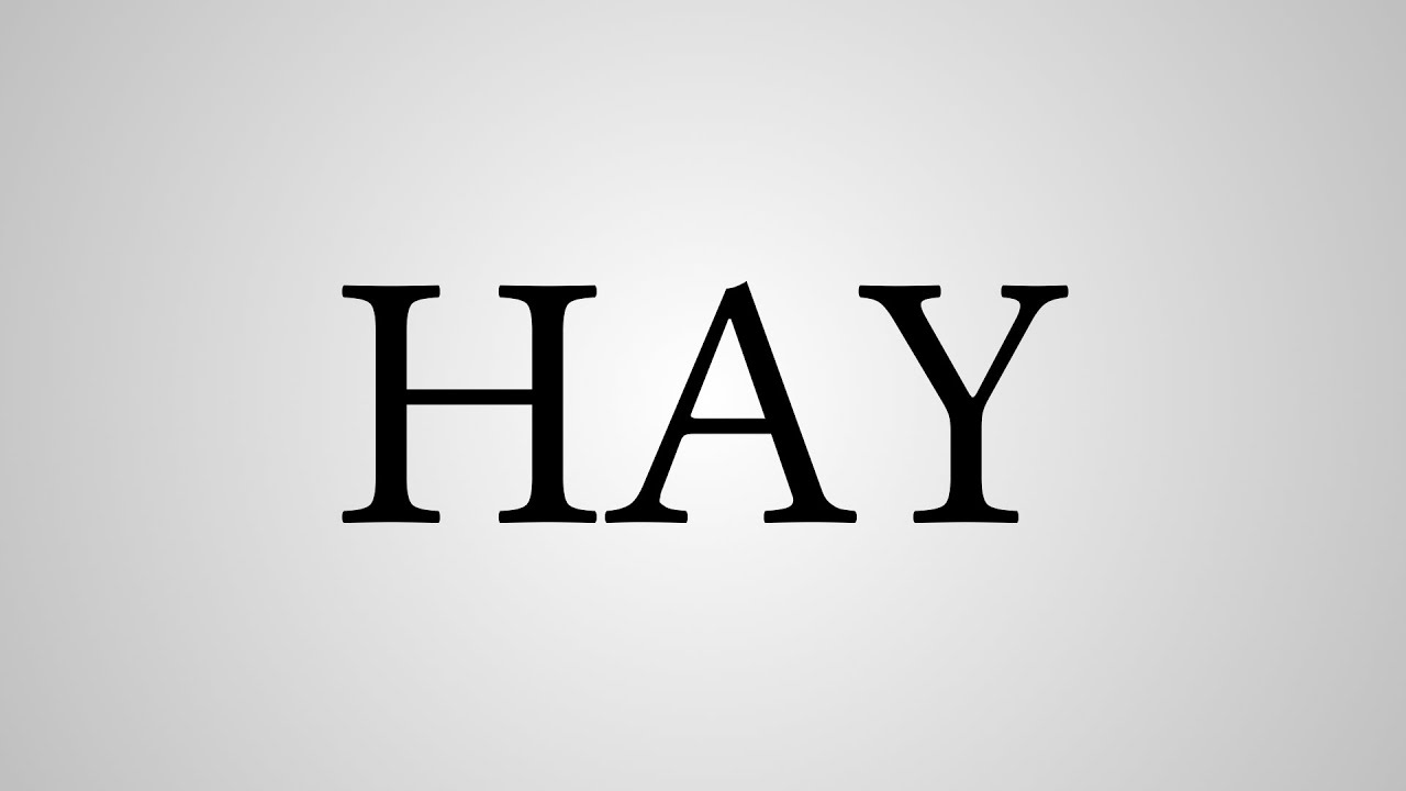 What Does HAY Stand For YouTube what-does-hay-stand-for-youtube
