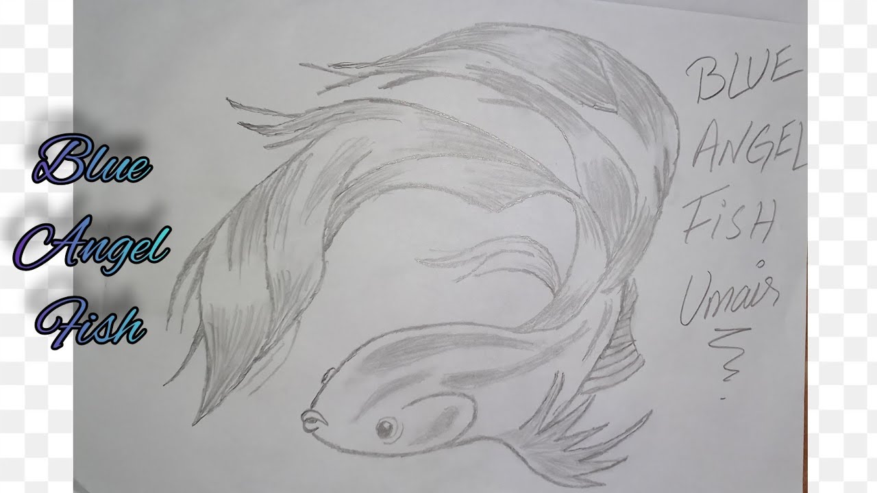 How to draw Fish sketch for kids - YouTube