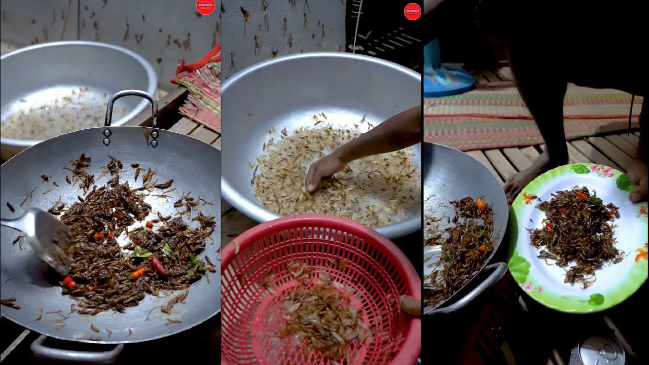 Catch and Cook Raining fly bird Eating Delicious ...