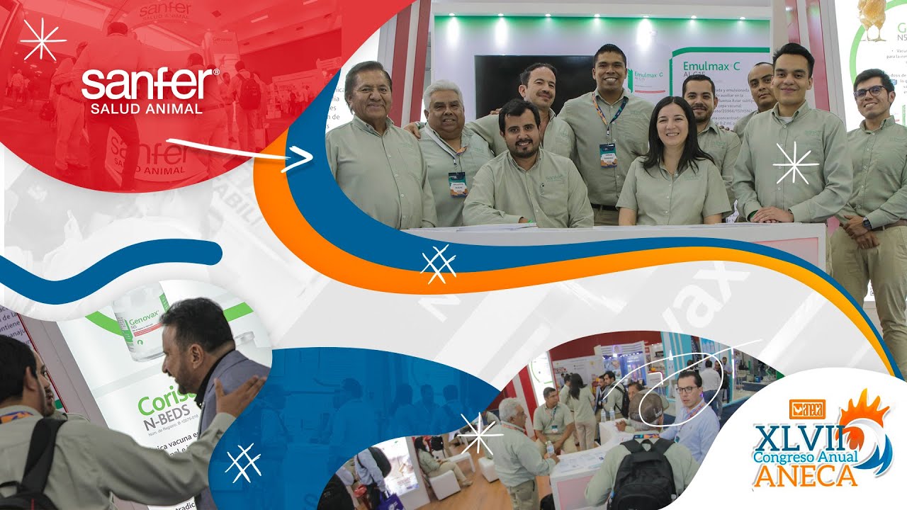 Sanfer Salud Animal es líder en salud avícola en México con su División ...